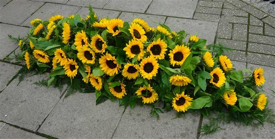 Sunflower - Casket Spray